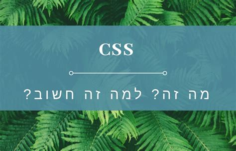 css טכנולוגיה המאפשרת בניית אתרי וורדפרס ליצור אתרים מעוצבים מהירים