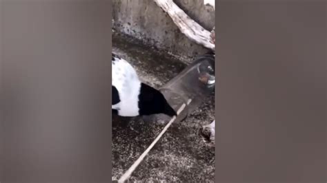 겁나 똑똑하네 임영웅 뭣이 중헌디 Youtube