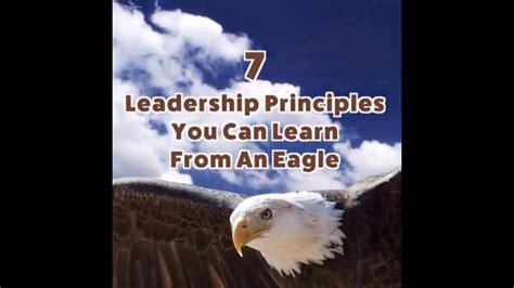 Ahmed Yahia on LinkedIn: 7 Leadership Principles You Can Learn From An Eagle.