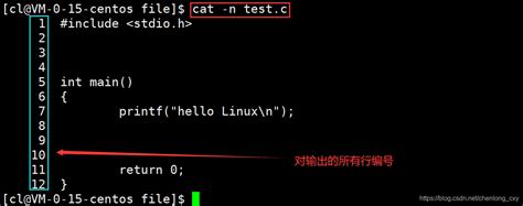 linux常见指令汇总（入门必备） date s 接收管道 csdn博客