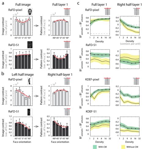 Impact Of Cortical Magnification And Network Density On Layer 1 Download Scientific Diagram