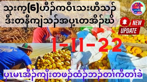 1 11 2022သုးက့ 6 ဟီ၃္ကဝီzပူzသးဟီသ၃္ဒီးတနီက်ဲသ၃္အပွ႔zတအိ၃္ဃိပွzမzအီ၃္က်ိးတဖ၃္ထံ၃္ဘ၃္တ၊ ္ကီခဲ