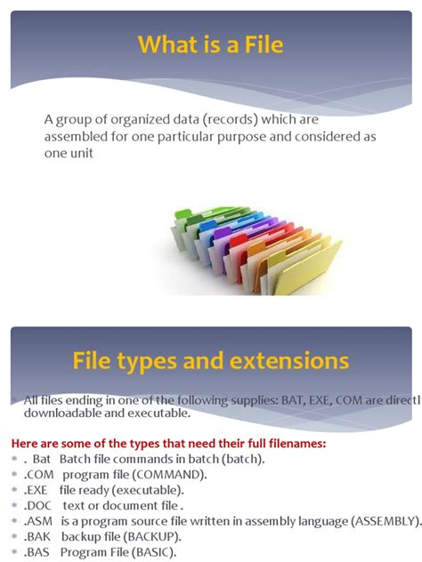 An Introduction To File Types Extensions And Basic File Management In