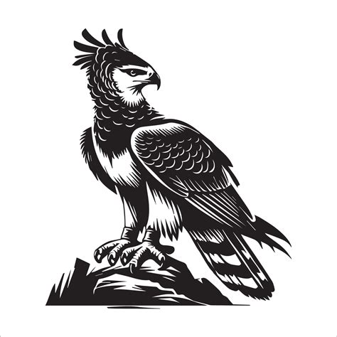 Harpy Eagle Bird Logo Harpy Eagle Sitting On A Rock With A Focused Illustration In Black And