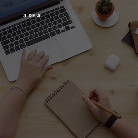 Sofia Lanza Barbieri Posted On Linkedin