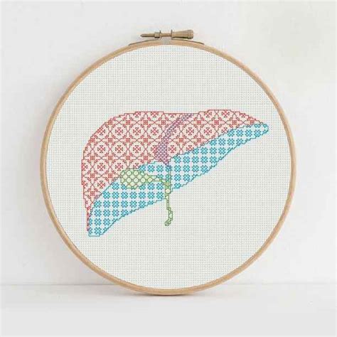 Human Body Liver Cross Stitch Pattern Lab Pattern
