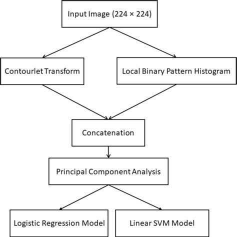 Image Decomposition And Features Extraction Using Contourlet Transform