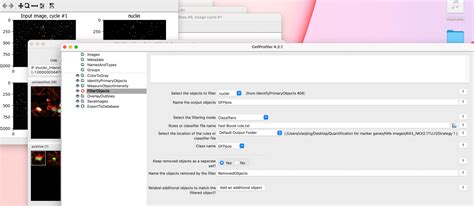 Using The Classifier Rules For Filter Objects Module In Cellprofiler