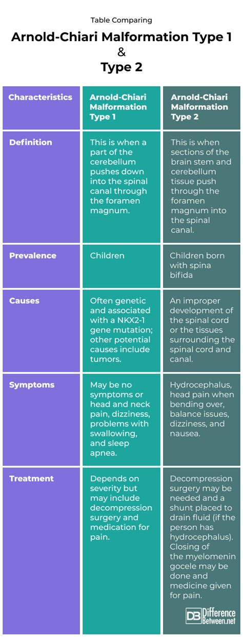 Difference Between Arnold Chiari Malformation Type 1 And Type 2 Difference Between Arnold
