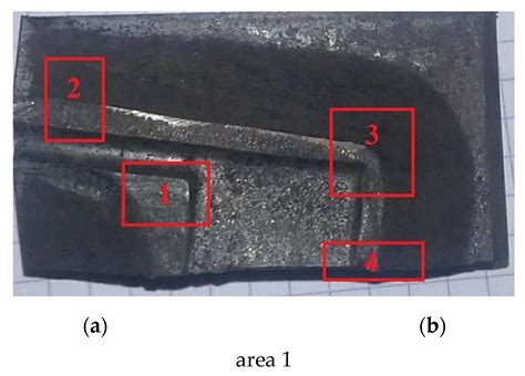 Tool Wear Issues In Hot Forging Of Steel