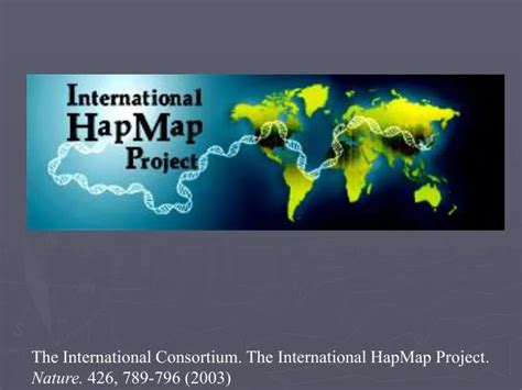 Ppt The International Consortium The International Hapmap Project