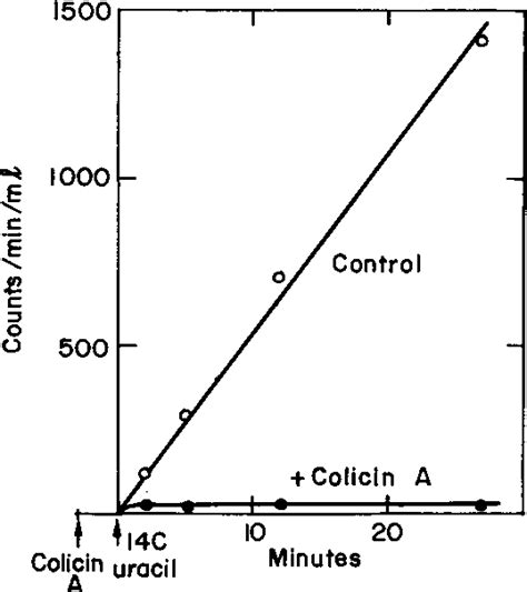 Figure 1 From Mode Of Action Of Colicin A Semantic Scholar