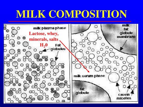 Ppt Milk Composition Powerpoint Presentation Free Download Id2359702