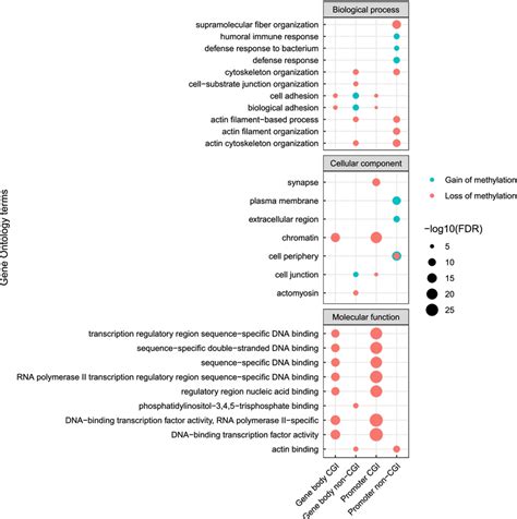 Pathway Analysis Of The Differentially Methylated Cpg Sites In The Four