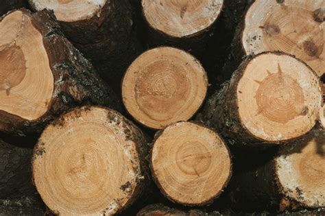 Free Timber Log Stack Image