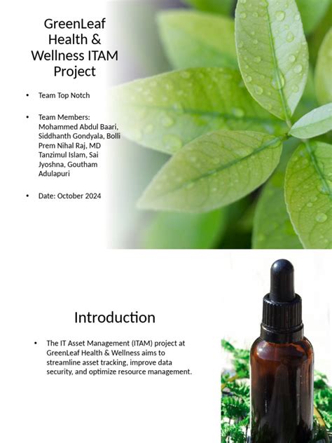 Group 6 Team Top Notch Greenleaf Itam Project Final