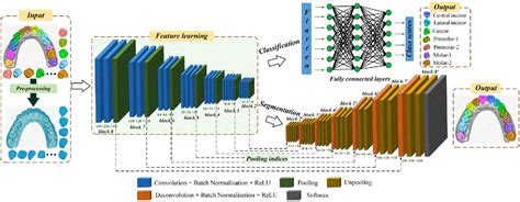 figure 3 from automatic classification and segmentation of teeth on 3d