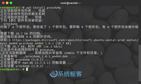 如何在Linux系统中安装使用ProcDump for Linux 系统极客