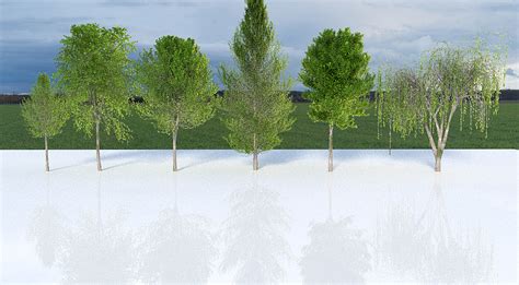 Tree Pack CG Cookie