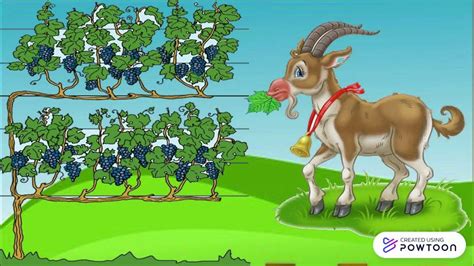 თხა და ვენახი Youtube