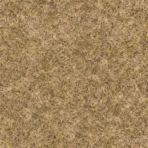 Dry Grass Seamless Texture Material Map For Creating Materials Posters For The Wall • Posters