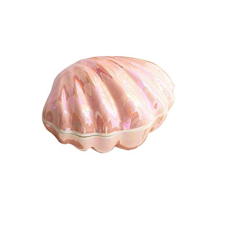 Clam Shell Ceramic Jewelry Storage Shop Online On Roomtery