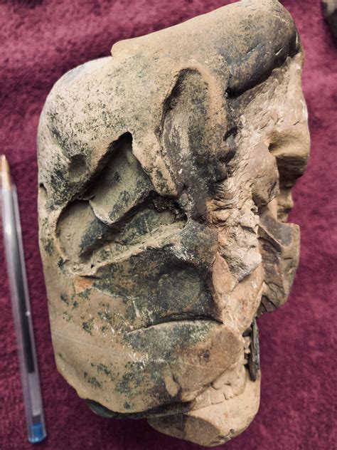 Could Worms Had Caused This Fossil Id The Fossil Forum