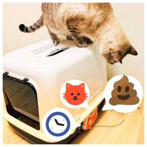 IoT Cat Litter Box With ESP32 And Thingspeak Hackaday Io