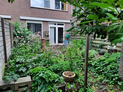 Spion Hans Lag Dagenlang Dood In Bad Panorama