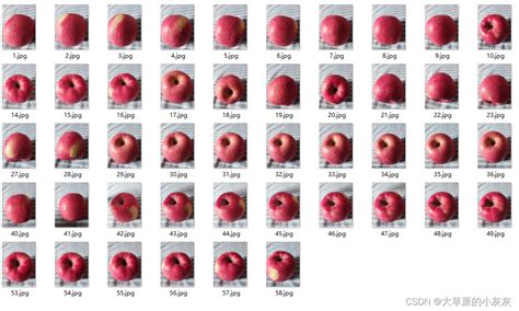 Opencv训练自己的模型，实现特定物体的识别 Csdn博客