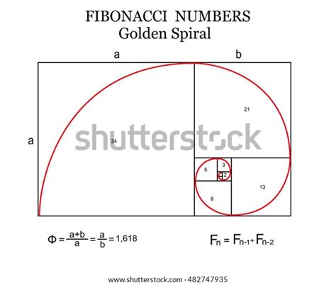 Fibonacci Spiral Known Golden Spiral Basic Stock Vector Royalty Free