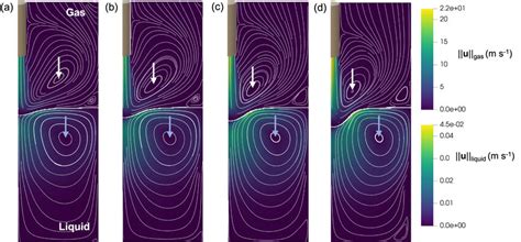 Velocity Magnitude And Streamlines In The Gas And Liquid Phases