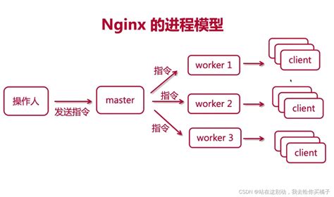 Nginx网站服务详解（第一部分：编译安装及系统服务添加） Nginx服务器中添加服务 Csdn博客