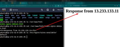 How To Render File Instead Of Nginx Default Html File By Anupam