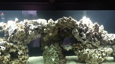 55 Gallon Pukani Aquascape - YouTube