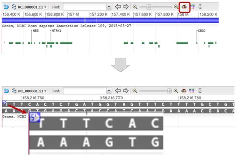 navigating the sequence viewer