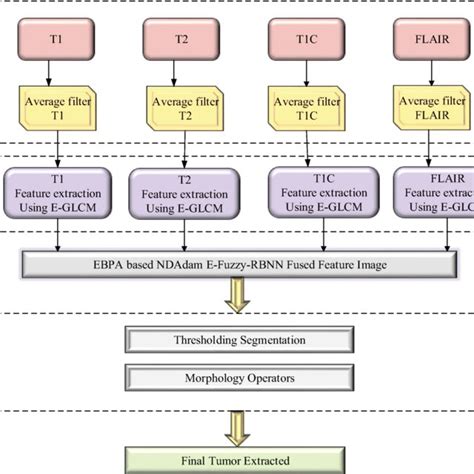 Block Diagram Of Proposed Methodology For Classification Of Brain Tumor Download Scientific