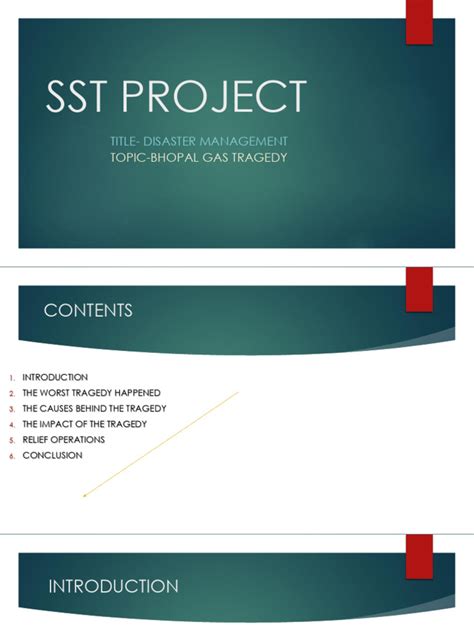 Sst Project Pdf