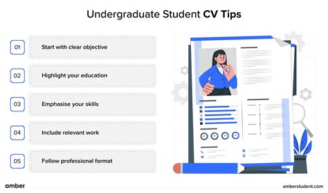 Crafting A Winning Undergraduate Babe CV Tips And Examples Amber