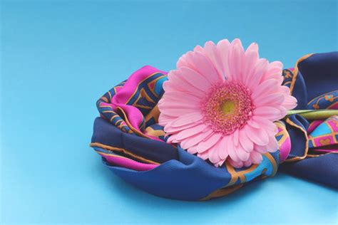 Alein Bilder Bläddra Bland 180 Stockfoton Vektorer Och Videor