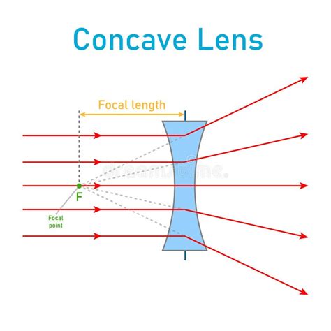 Concave Lens Schematic Diagram In Optics Physics Stock Vector