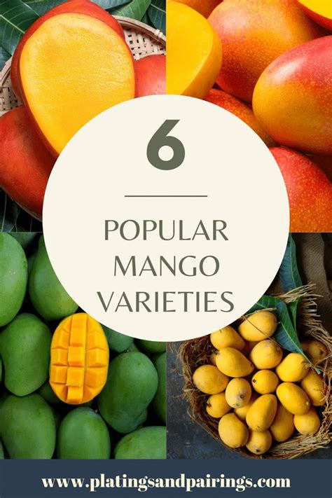 6 Popular Mango Varieties How To Choose And Use Them Different Types Of Mangos Types Of