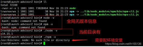Linux安装nodejs【详细教程】 Csdn博客