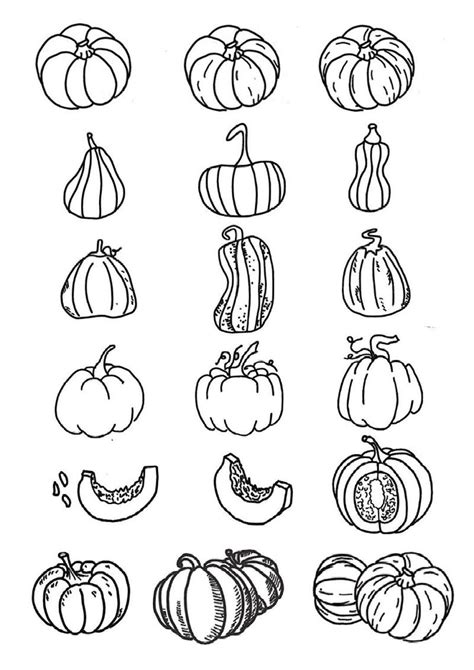 南瓜美食简笔画大全简单（漂亮17张） 简笔画图片大全