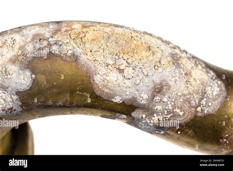Salt Deposits On Brass Drain Pipe Close Up Isolated On White Background