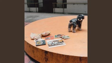 Weather Forecast Intro Youtube