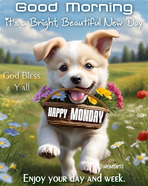 Good Morning Happy Monday Pictures