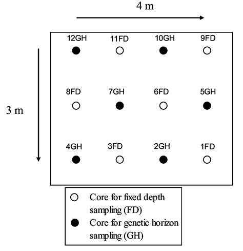 Plot Layout For Core Sampling Download Scientific Diagram