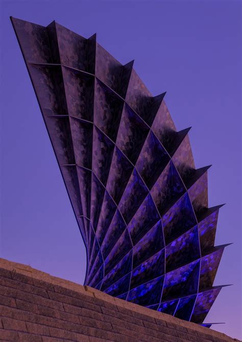 Tamucc Sail