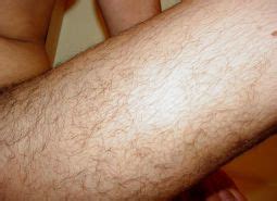 Mexican Hirsute Queen Of Porn Pictures Xxx Photos Sex Images Pictoa